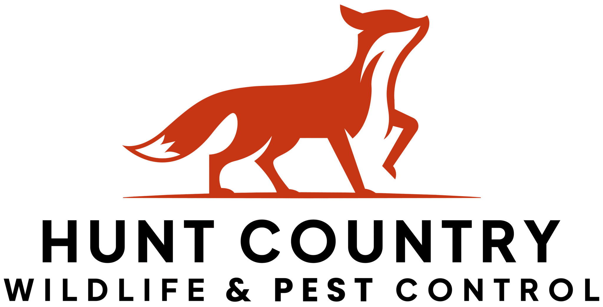 Wildlife Removal in Loudoun County, VA. Locally Owned & Operated.